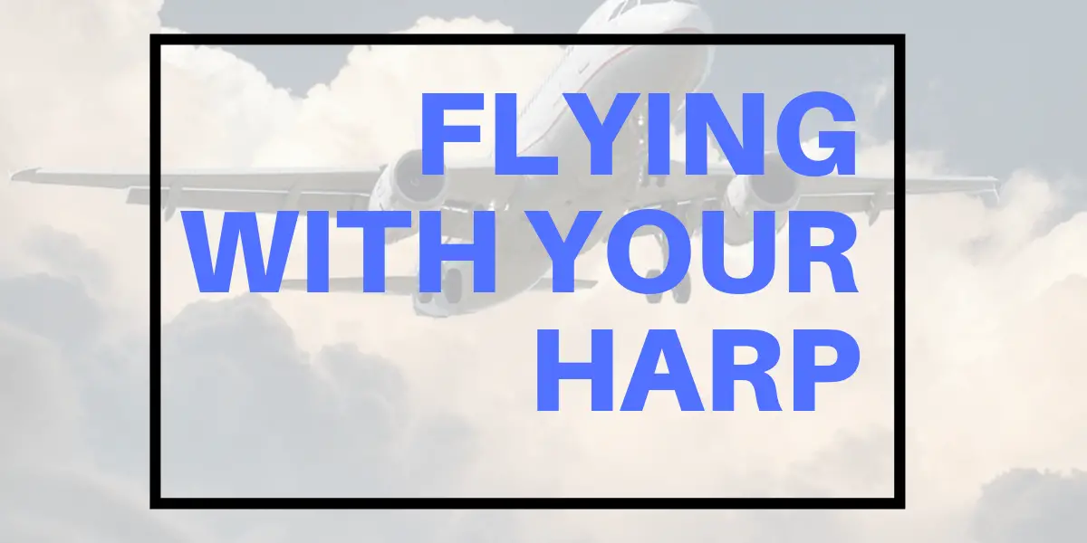 How To Fly On An Airplane With Your Harp • Pro Music Vault